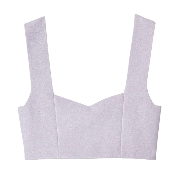 A.L.C. | Tops | Rare Alc Jordana Highend Designer Stretch Knit Bra Top ...